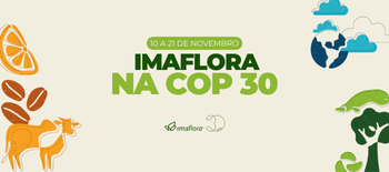 Imaflora na COP 30 | Imaflora
